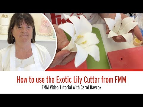 How to use the FMM Exotic Lily Cutter Set Tutorial – FMM Sugarcraft